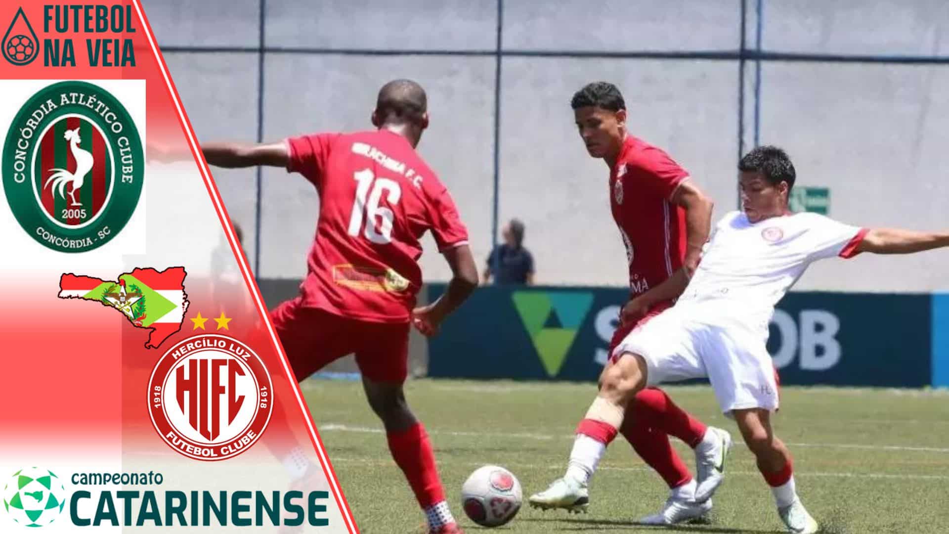 Palpite Concórdia x Hercílio Luz - 16/02 - Campeonato Catarinense 2023 ...