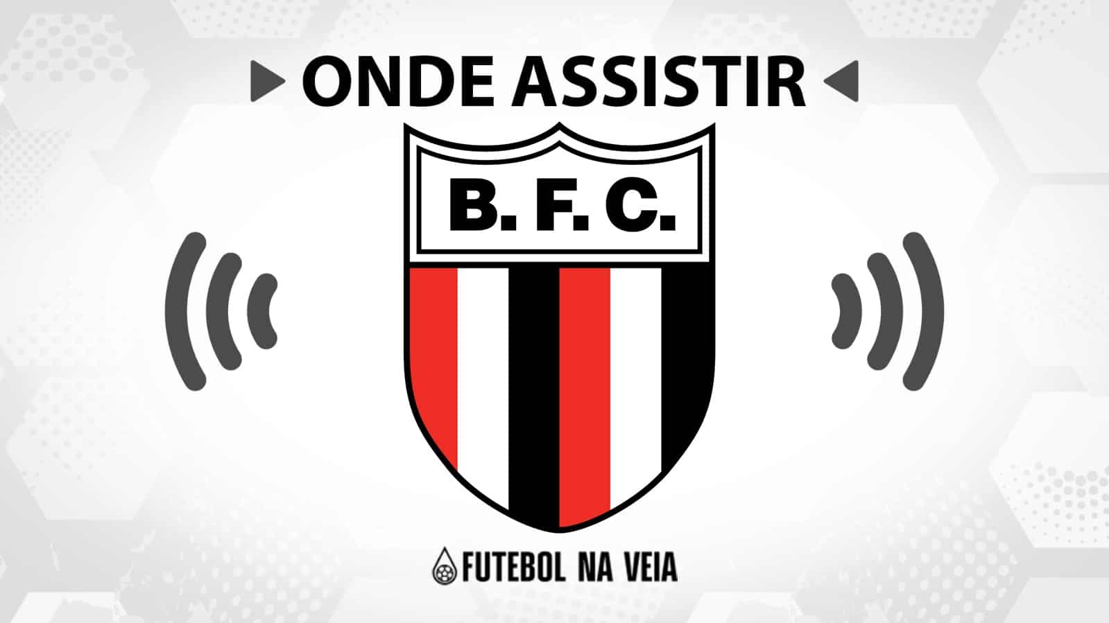 Jogo do Botafogo-SP hoje ao vivo: onde assistir? - Futebol na Veia