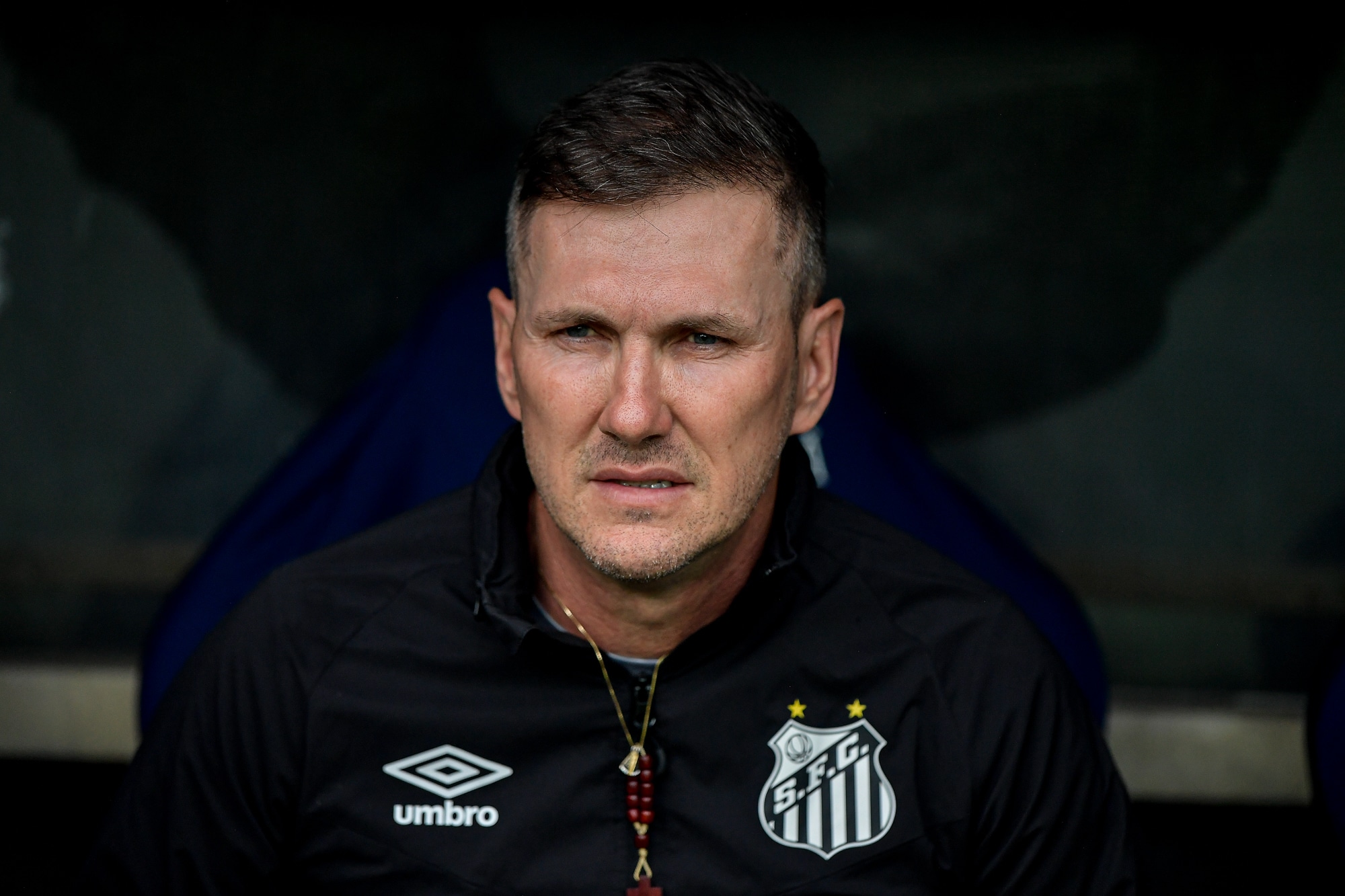 Santos: torcida organiza movimento nas redes e pede saída de Paulo ...