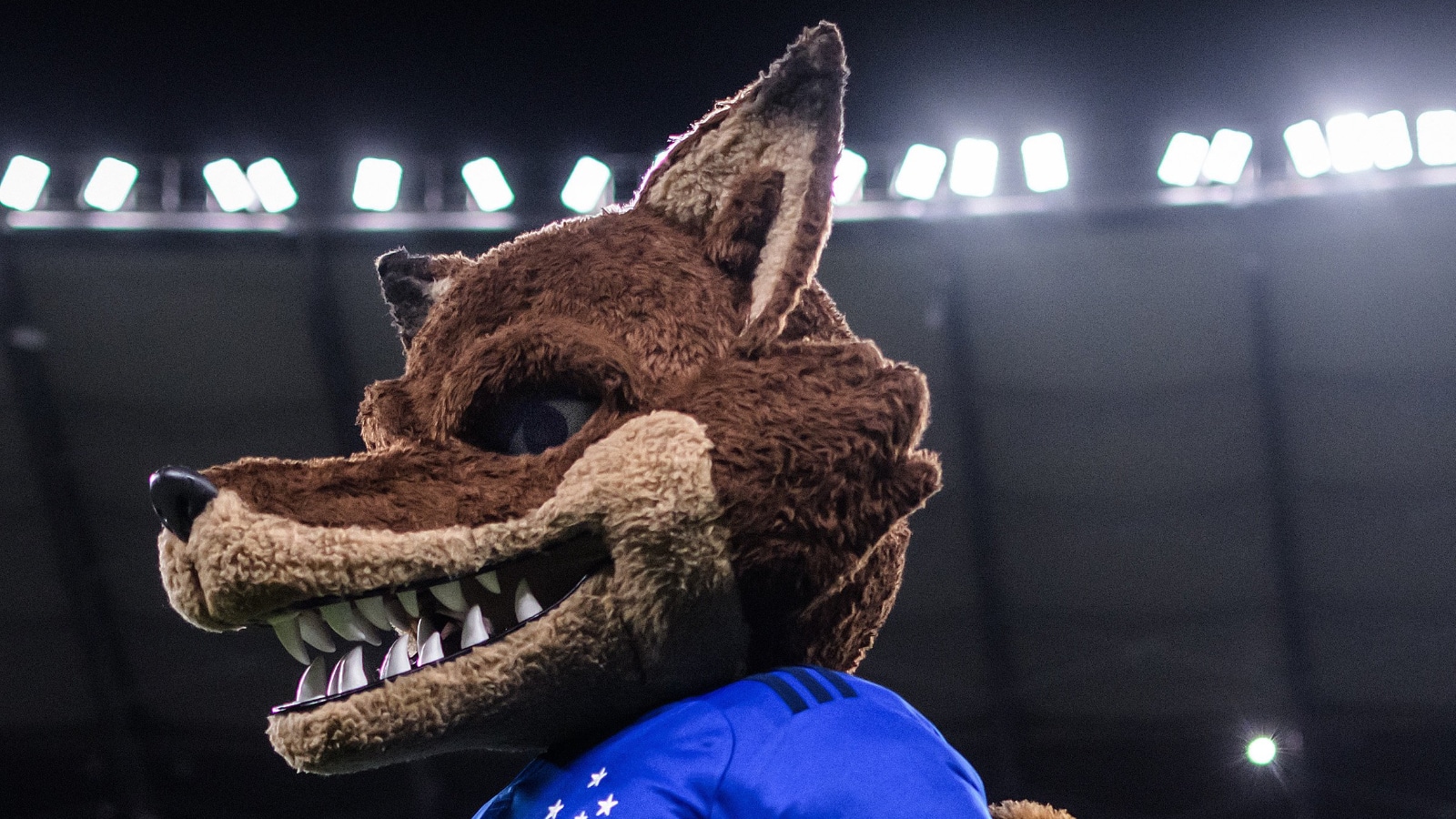 Cruzeiro apresenta novos Raposão e Raposinho aos torcedores; veja vídeo ...